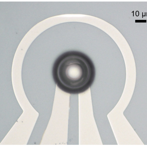 Quantum Sensing Quantum Science Engineering